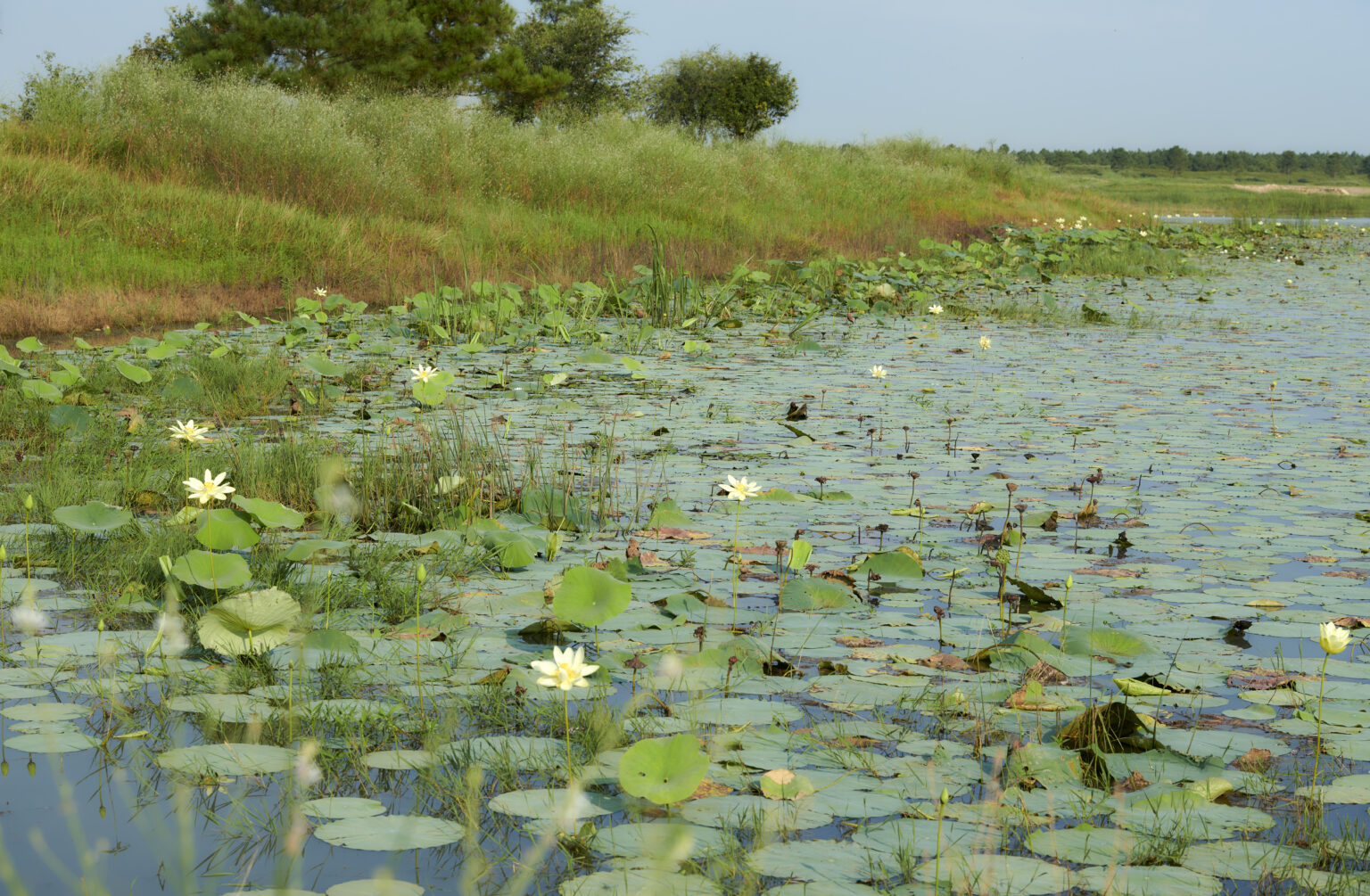 JMT - John Paul Landing Park - Johnson, Mirmiran & Thompson